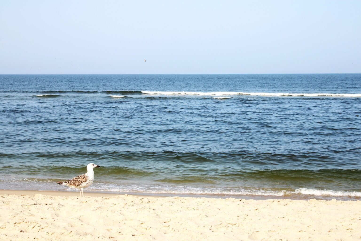 Sandy Hook Beach, NJ - Take a Trip to the Jersey Shore - Trips Around ...