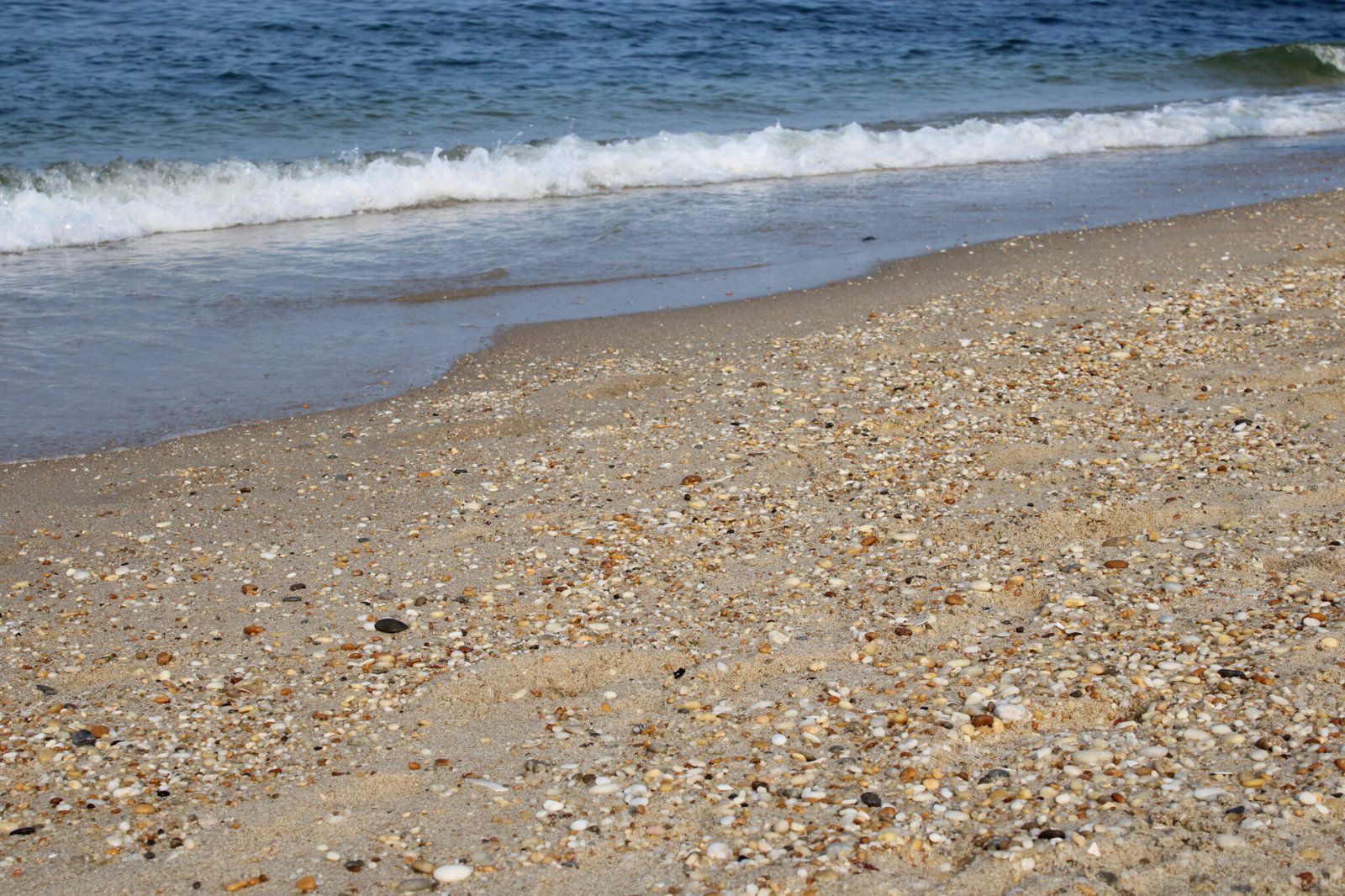 Sandy Hook Beach, NJ - Take a Trip to the Jersey Shore - Trips Around ...
