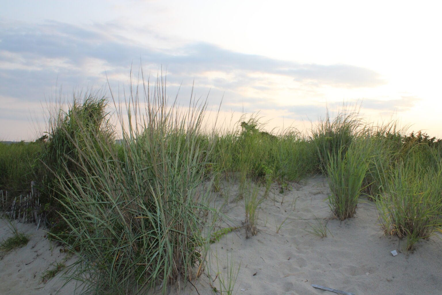 Sandy Hook Beach, NJ - Take a Trip to the Jersey Shore - Trips Around ...