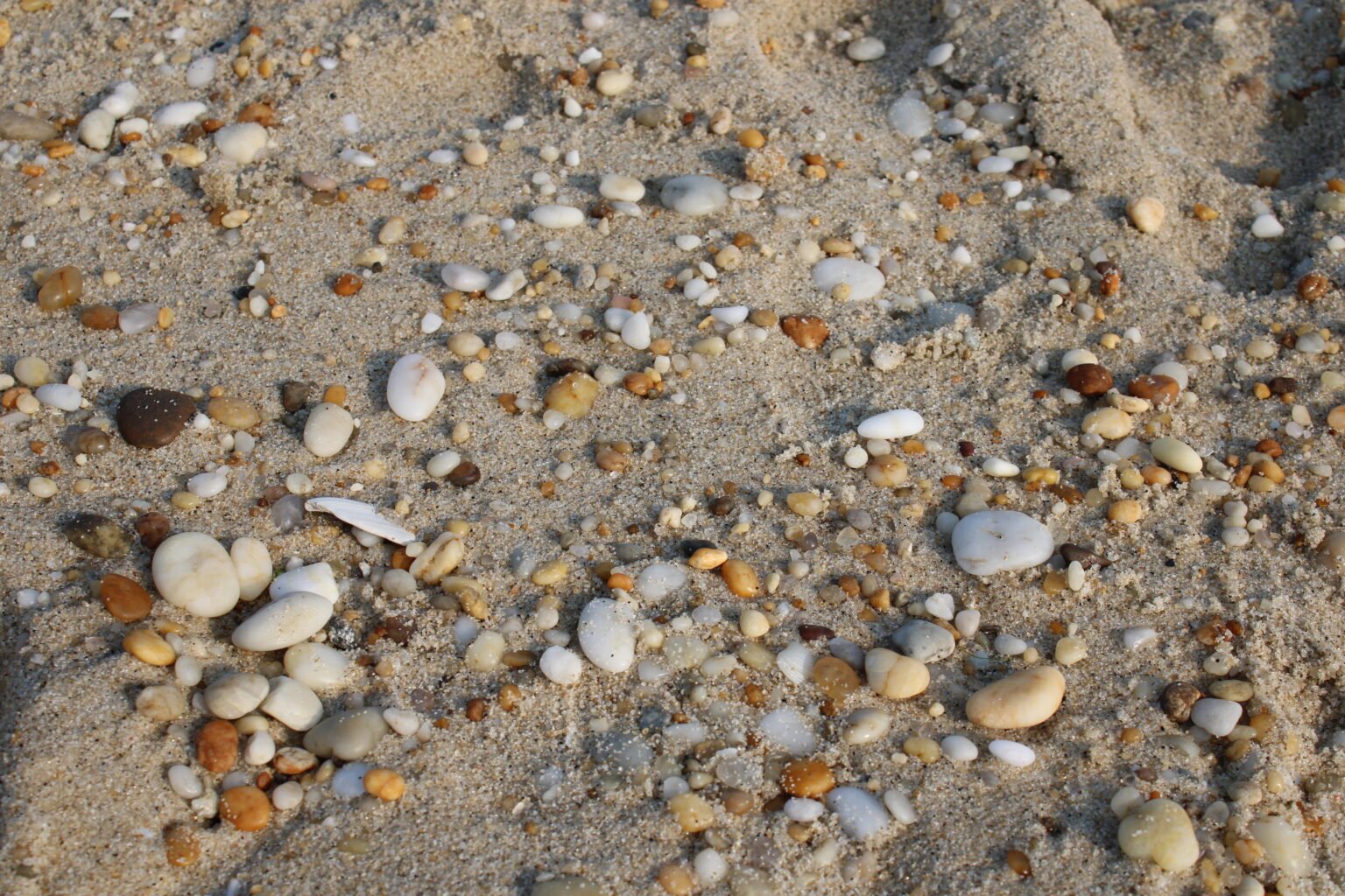 Sandy Hook Beach, NJ - Take a Trip to the Jersey Shore - Trips Around ...